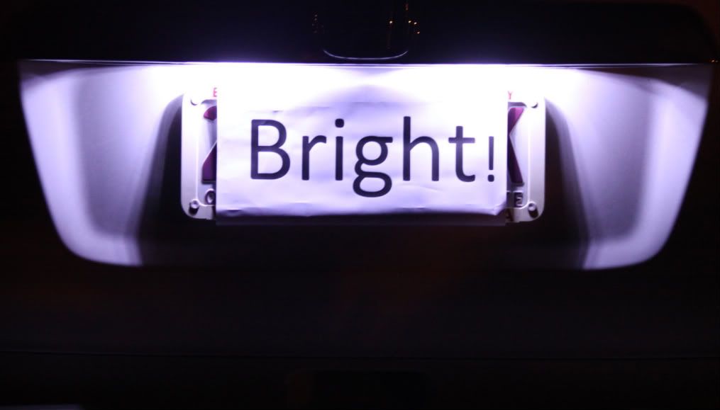 LED License Plate Lights Bright Blue For Holden Commodore VT VX VY VZ ...