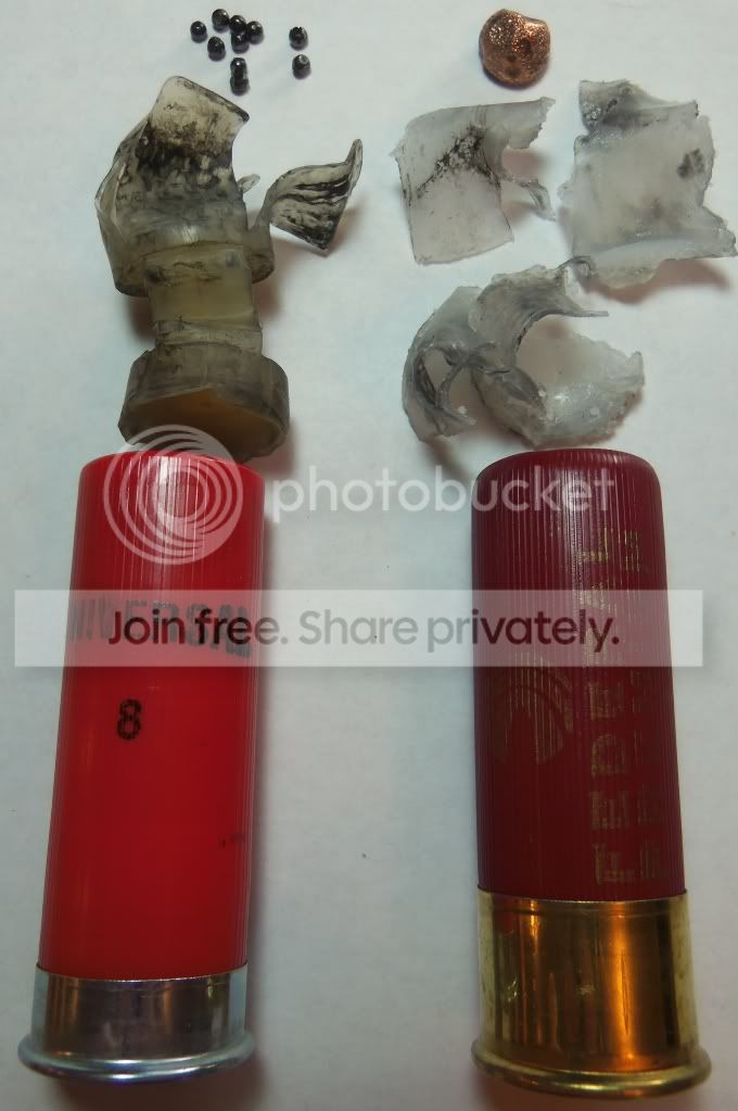 #8 Birdshot and 00 Buckshot in Perma-Gel > Ammunition > AR15.COM